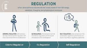 Self-Regulation Strategies for Transitions (Latest)