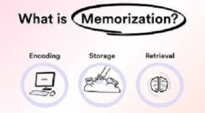Memorization in Education: Why It’s Essential for Long-Term Learning