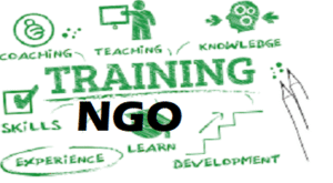 NGO-Led Teacher Training with Examples – Latest Trends
